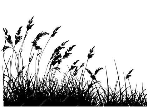 Premium Vector Grass Illustration Collection Hand Drawn Style