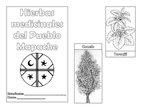 Hierbas Medicinales Del Pueblo Mapuche Pdf