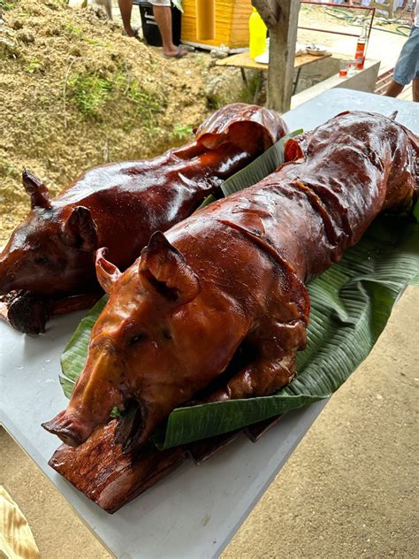 Cebus Famous Lechon A Must Try Dish From The Philippines