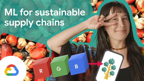 Intro To Deep Learning To Track Deforestation In Supply Chains Data