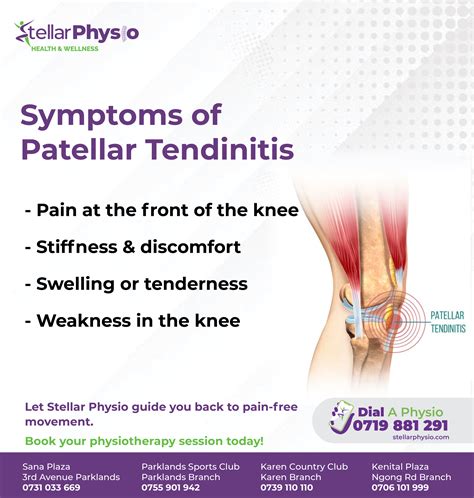 Understanding Patellar Tendinitis Stellarphysio