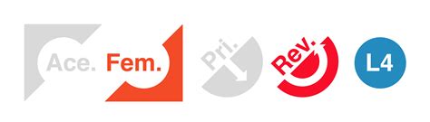 Case 17 Revision Surgery For A Dislocating Hip Replacement Using A