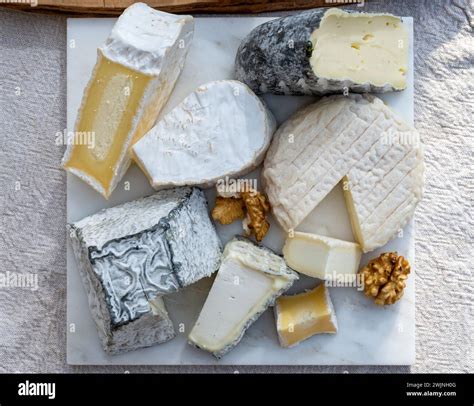 French Cheeses Collection Perail Les Buissieres Sheep Cheese