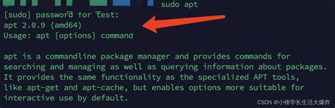 【技巧】ubuntu临时授予用户sudo权限，并在一定时间后自动撤销 Csdn博客