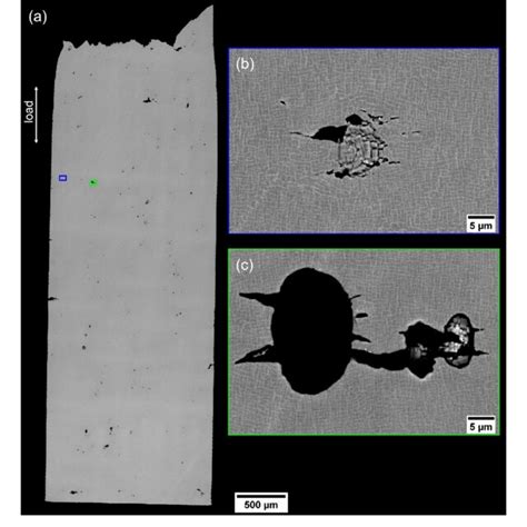 Longitudinal Section Of The Sample A Prepared From One Half Of The