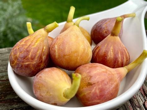 13 Different Types Of Figs To Explore From Sweet To Tender Insanely Good