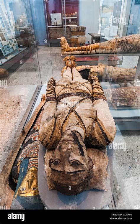 Cleopatra Sarcophagus British Museum