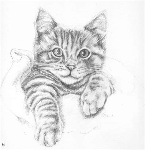 Dibujos De Gatos A Lápiz Sólo Para Amantes De Los Gatitos 🐱