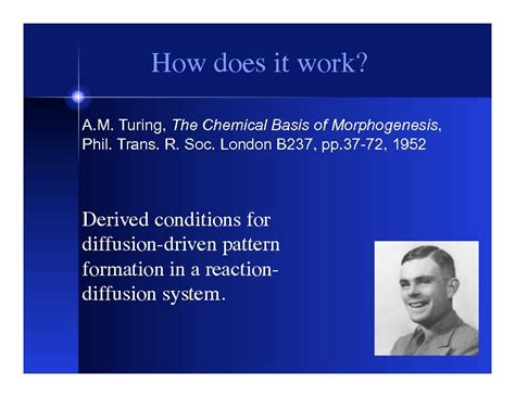 Diffusion Reaction And Biological Pattern Formation