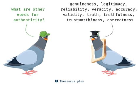 More 240 Authenticity Synonyms Similar Words For Authenticity