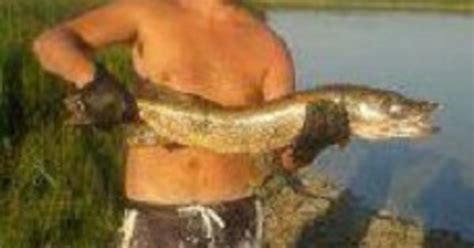 37 Pike Biggest Ive Ever Caught Imgur