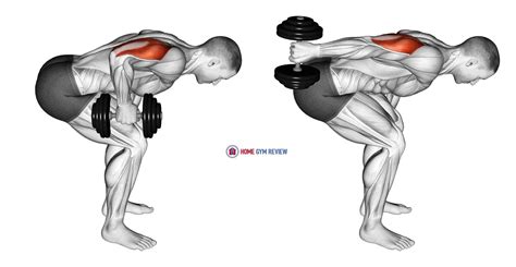 Dumbbell Standing Bent Over One Arm Triceps Extension Home Gym Review