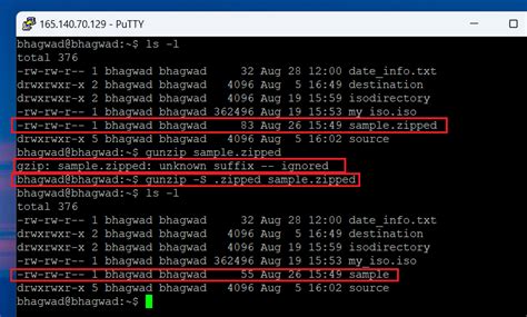 How To Use The Gunzip Command In Linux