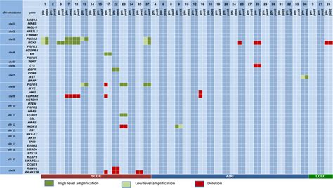 Copy Number Variations On A Case By Case Basis Genes Are Sorted