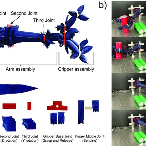 A Assembly Of The Manipulator Consisting Of An Inflatable Arm And