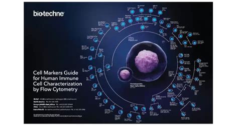 Cell Biology Research Bio Techne