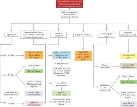 Diagnostic Flow Chart For Main Autoinflammatory Diseases Displaying Download Scientific Diagram
