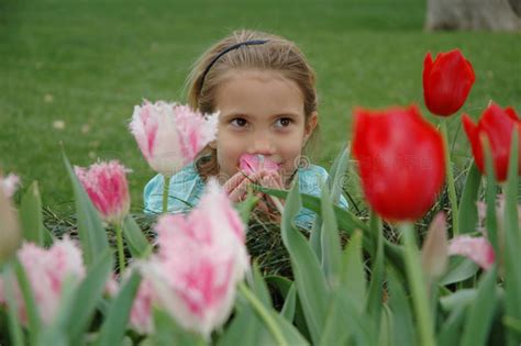 草高清图片 闻花香 闻花香图片免费下载 5165851215 千图网pro