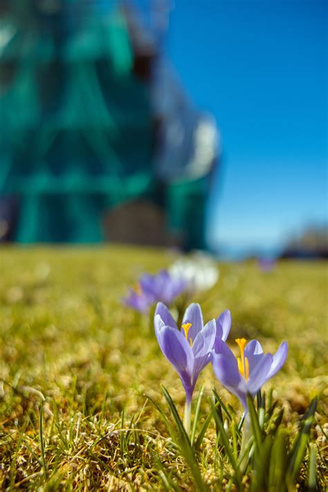 Hesby Kirke Murmester Haldor Meling