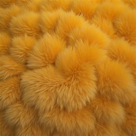 Premium Photo A Close Up Of A Yellow And Orange Sponge