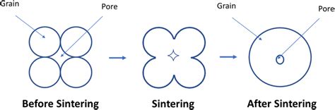 How Pore Size Reduces During Sintering Process Download Scientific
