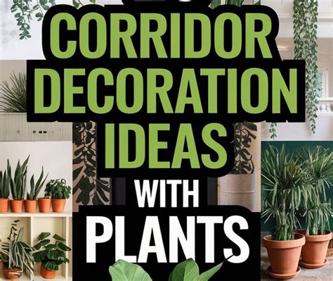 25 Corridor Decoration Ideas With Plants To Transform Your Hallway Into A Green Gallery