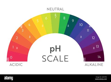 pH Value scale chart. Acid-base balance infographic. Education Poster Stock Vector Image & Art ...