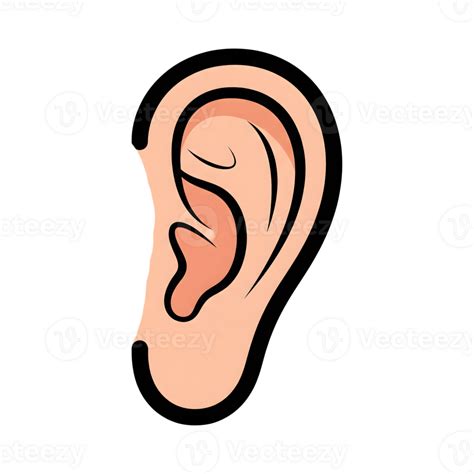 Cartoon Human Ear Cartoon Ear Human Stock Vector Illustration And