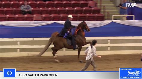 Br19 Class 80 A New View Richfield Video Archive