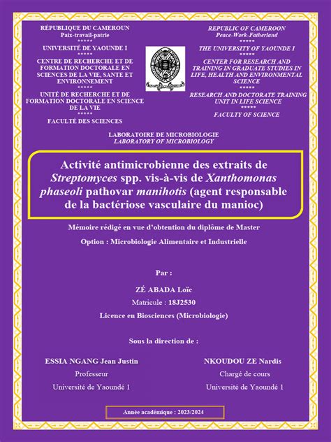 Activité Antimicrobienne De Streptomyces Pdf Feuille Maïs