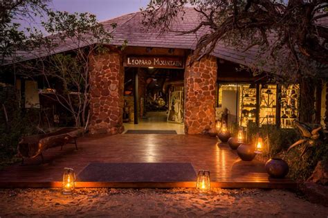 Leopard Mountain Safari Lodge Manyoni Private Game Reserve Big Cat
