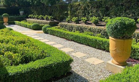 Box Hedge Garden Ideas At Justin Finn Blog