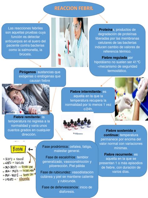 Reaccion Febril Pdf Fiebre Ciencias De La Salud