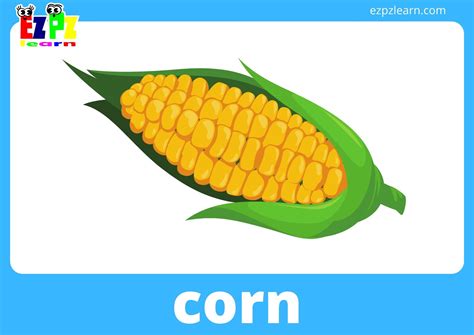Vegetables Flashcards With Words Use Online Or Free Pdf Download