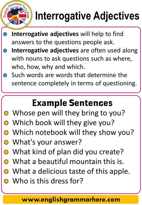 English Using Interrogative Adjectives Definitions And Example