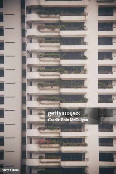 Auc Photos And Premium High Res Pictures Getty Images