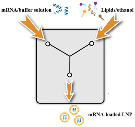 Recent Advances In Lipid Nanoparticles For Delivery Of Mrna