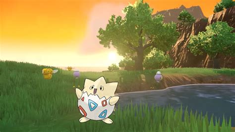 Togepi Entwickeln Und Schaloko Fundort Qrjmn