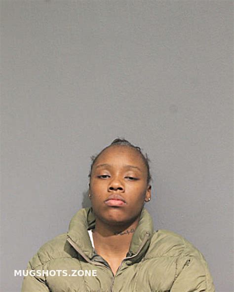 Francesca L Harrison 11012023 Chicago Mugshots Zone