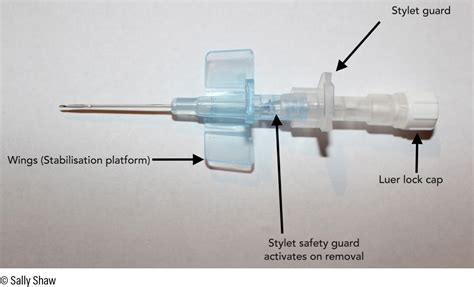 What Is The Difference Between Iv Cannula And Iv Catheter At Danelle