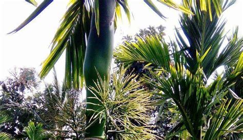 ವಾಯ್ಸ್ ಅಪ್ Gubbi Added A New Photo ವಾಯ್ಸ್ ಅಪ್ Gubbi