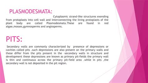 Cell Wall Structure Composition And Functions Pptx
