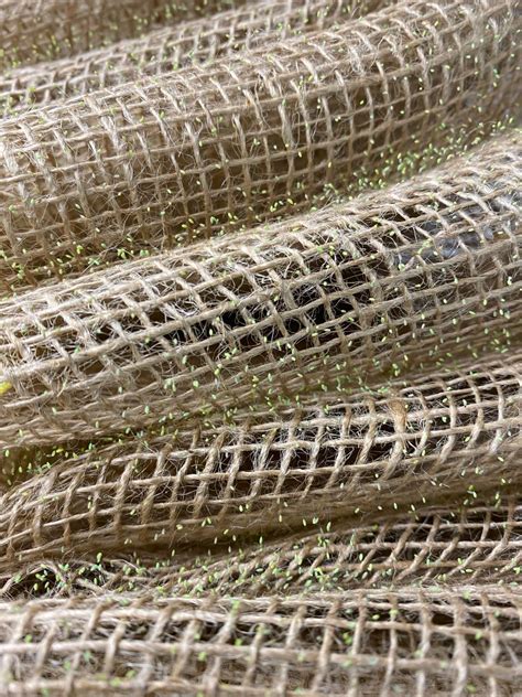 Dr Abida Nasreen On Linkedin Biologicalcontrol Agriculture