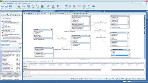 Vsm365 Toad Data Point Professional Edition