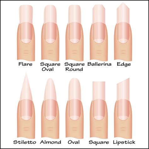 Different Types Of Fake Nail Shapes At Annie Burress Blog