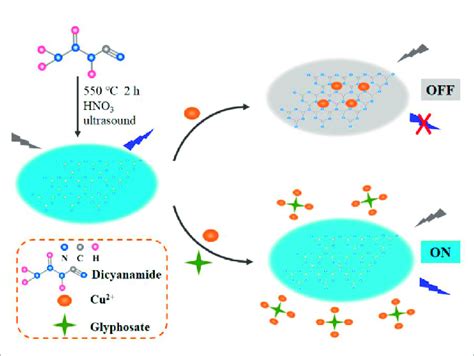 Schematic Illustration Of Fluorescence Sensor For Glyphosate Detection Download Scientific