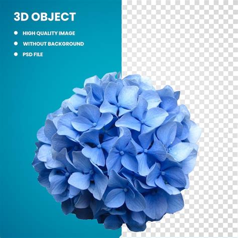 Premium Psd 3d French Hydrangea Oakleaf Hydrangea Flower Shrub Bud