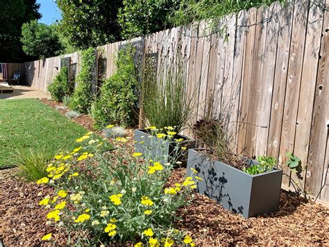 Wooden Planters Around Trees