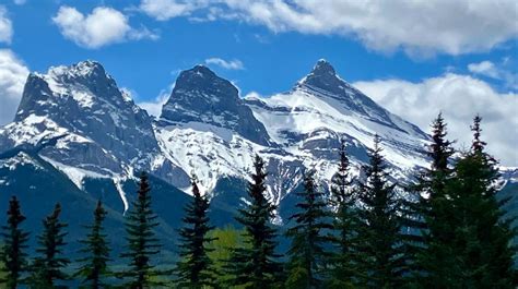 2025 Supernumerary Workshop At Entheos