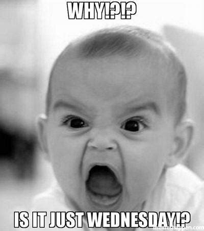 100 Hilarious Funny Wednesday Memes Of The Week Funzumo